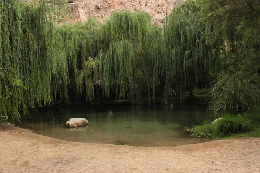 10 camping en locaciones espectaculares de Chile para disfrutar este verano